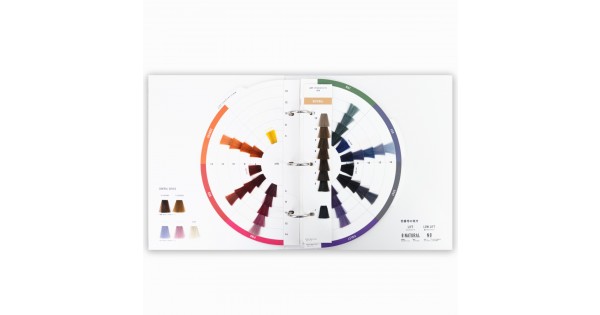 ชาร์ทสีย้อมผม ARIMINO ASIAN COLOR FES Color Chart