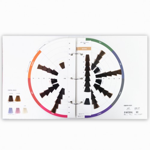 ชาร์ทสีย้อมผม ARIMINO ASIAN COLOR FES Color Chart