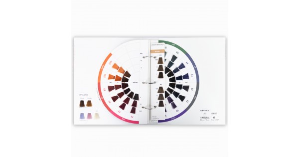 ชาร์ทสีย้อมผม ARIMINO ASIAN COLOR FES Color Chart