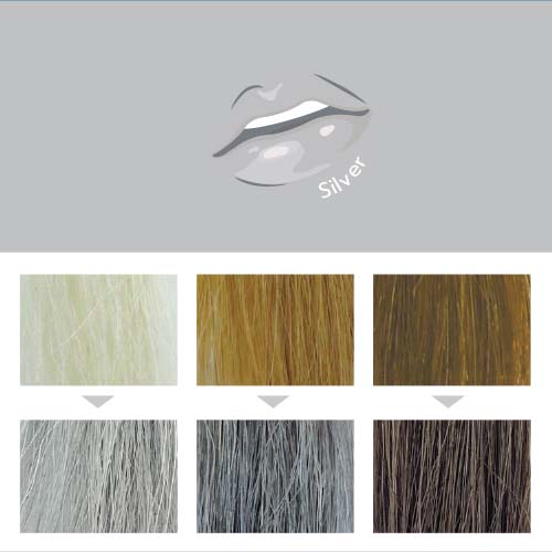 PAIMORE SPECTRUM COLORS SILVER